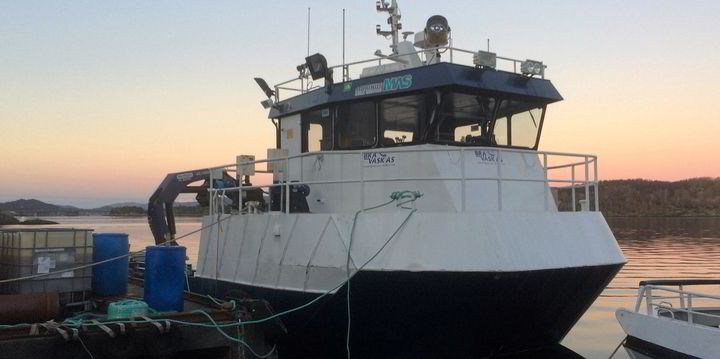 Norwegian Froy Group acquires Marinus Aquaservice | IntraFish.com