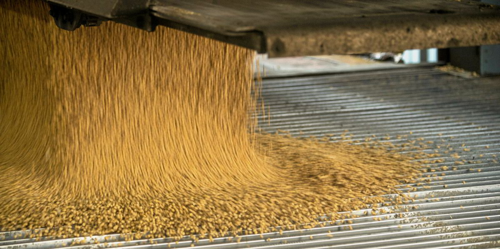 Reaping rewards? Synched Brazil and US soybean harvests ‘good for ...