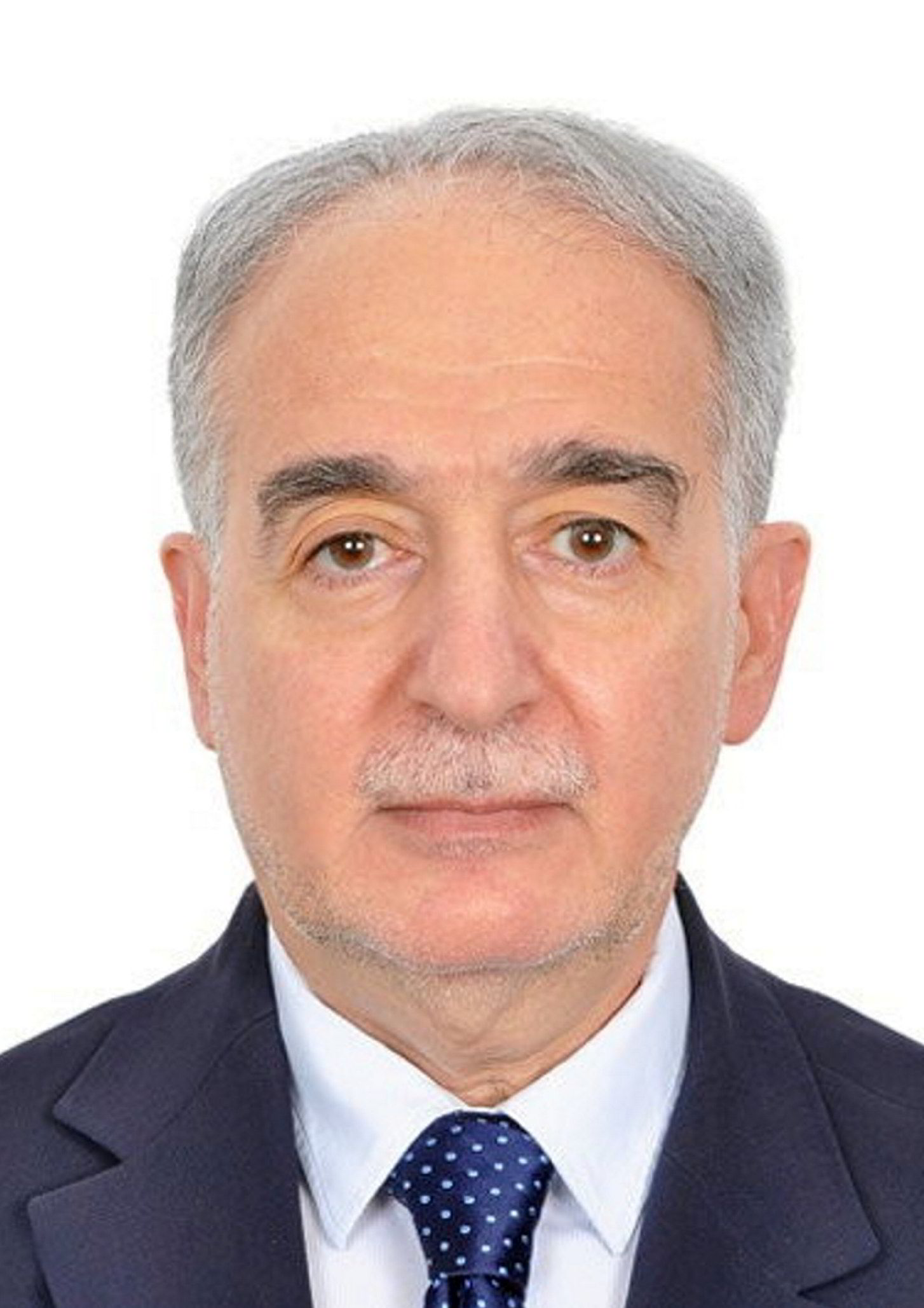 ‘Gold dust’: SGMF shifts to first ammonia fuel guide after revising ...