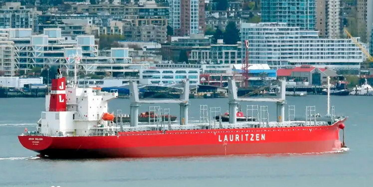 Densay Shipping banks profit from bulker flip as HMM extends buying ...