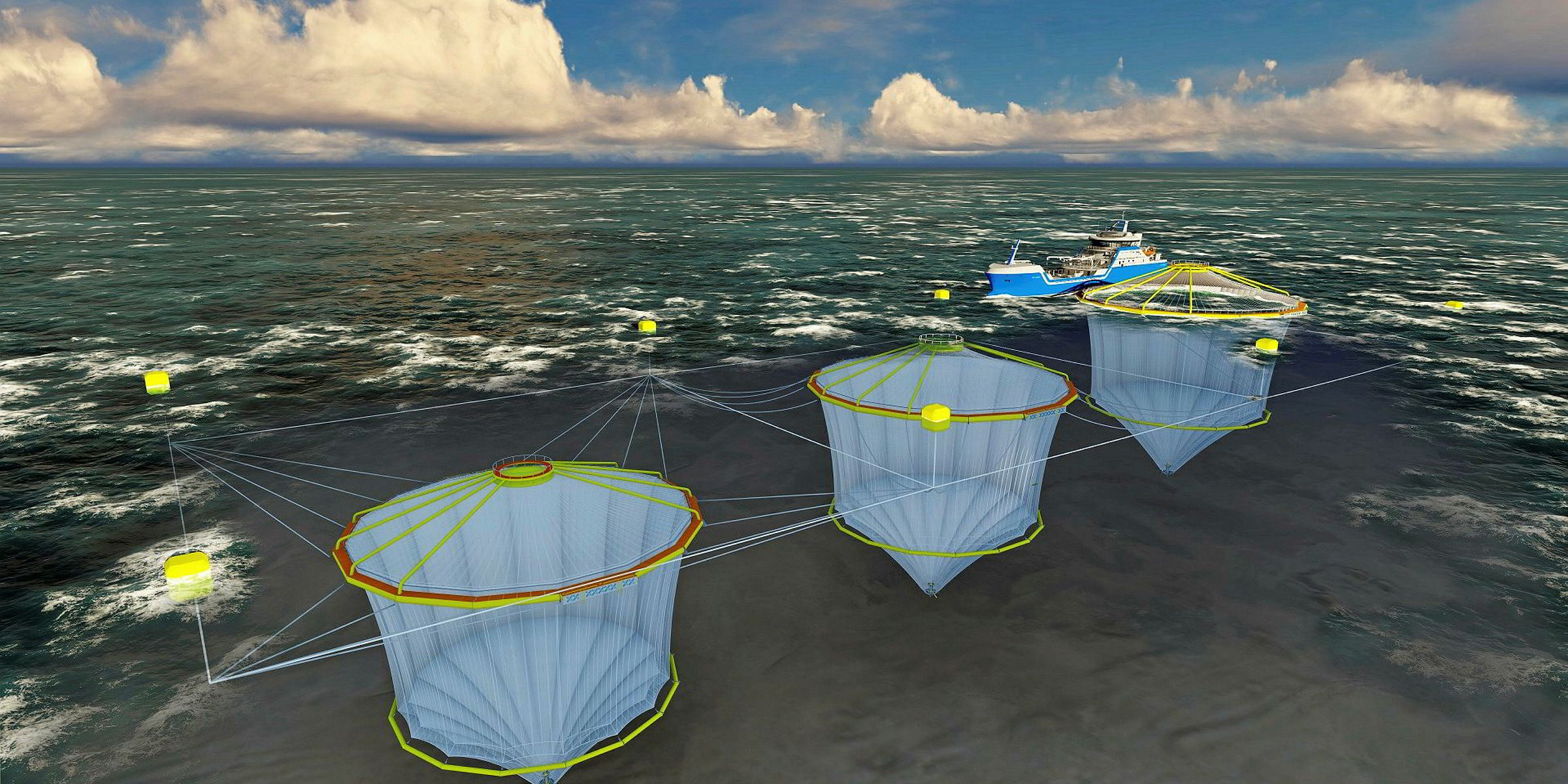 Nekst anticipates big investment in world's largest fish farm ...