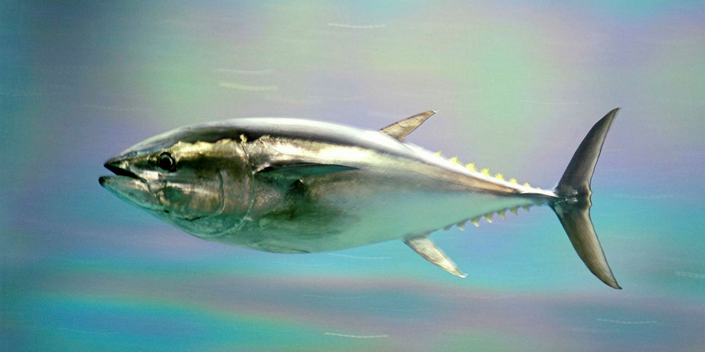 Australia endorses new five-year tuna plan | IntraFish.com