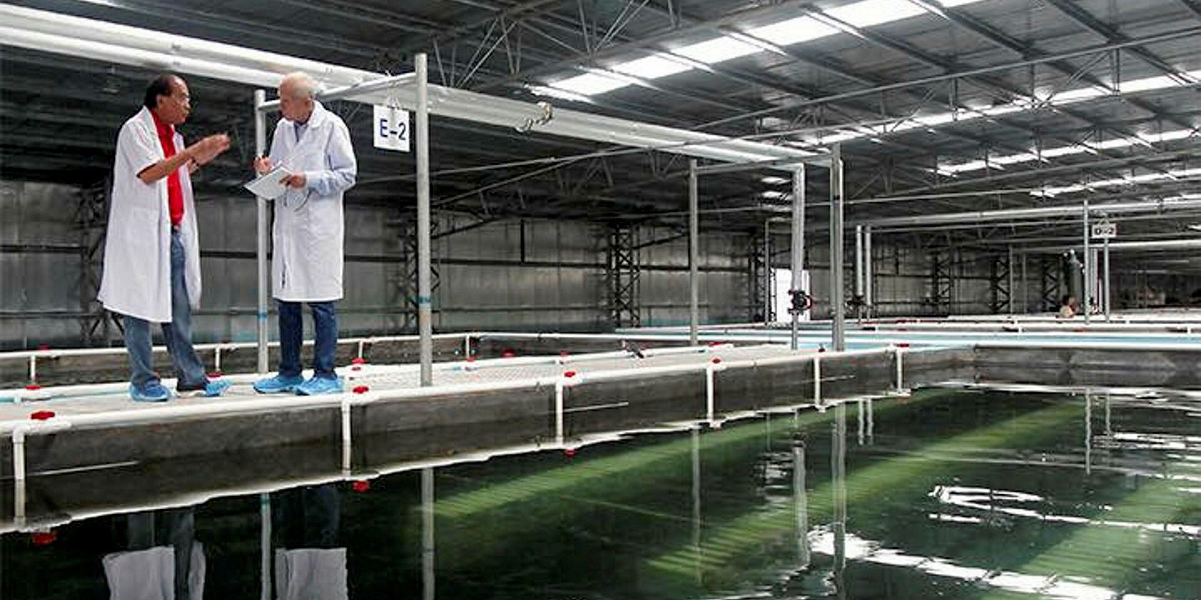 Land-based shrimp farmer Sino Agro forecasts $12 million losses ...