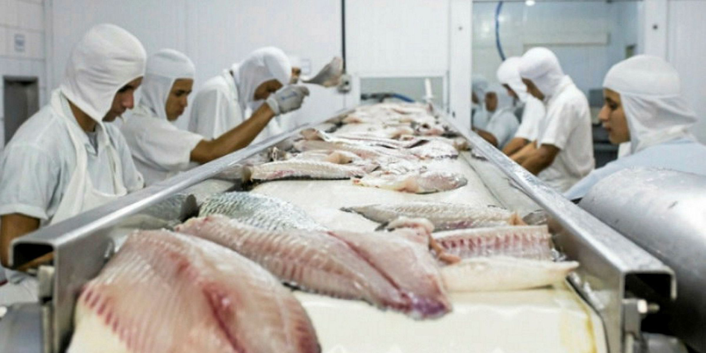 Brazilian shrimp, tilapia processor launches six new products ...