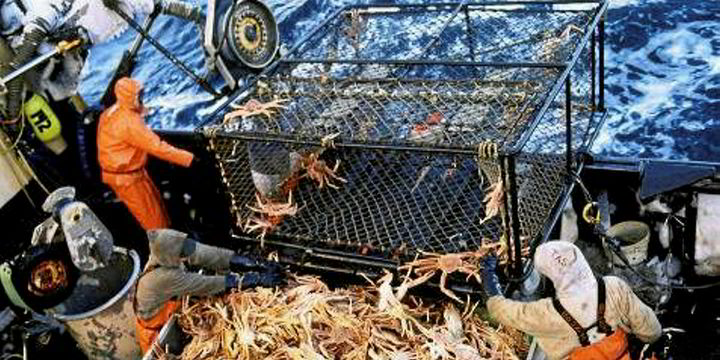 Missing crab vessel found in Bering Sea | IntraFish.com