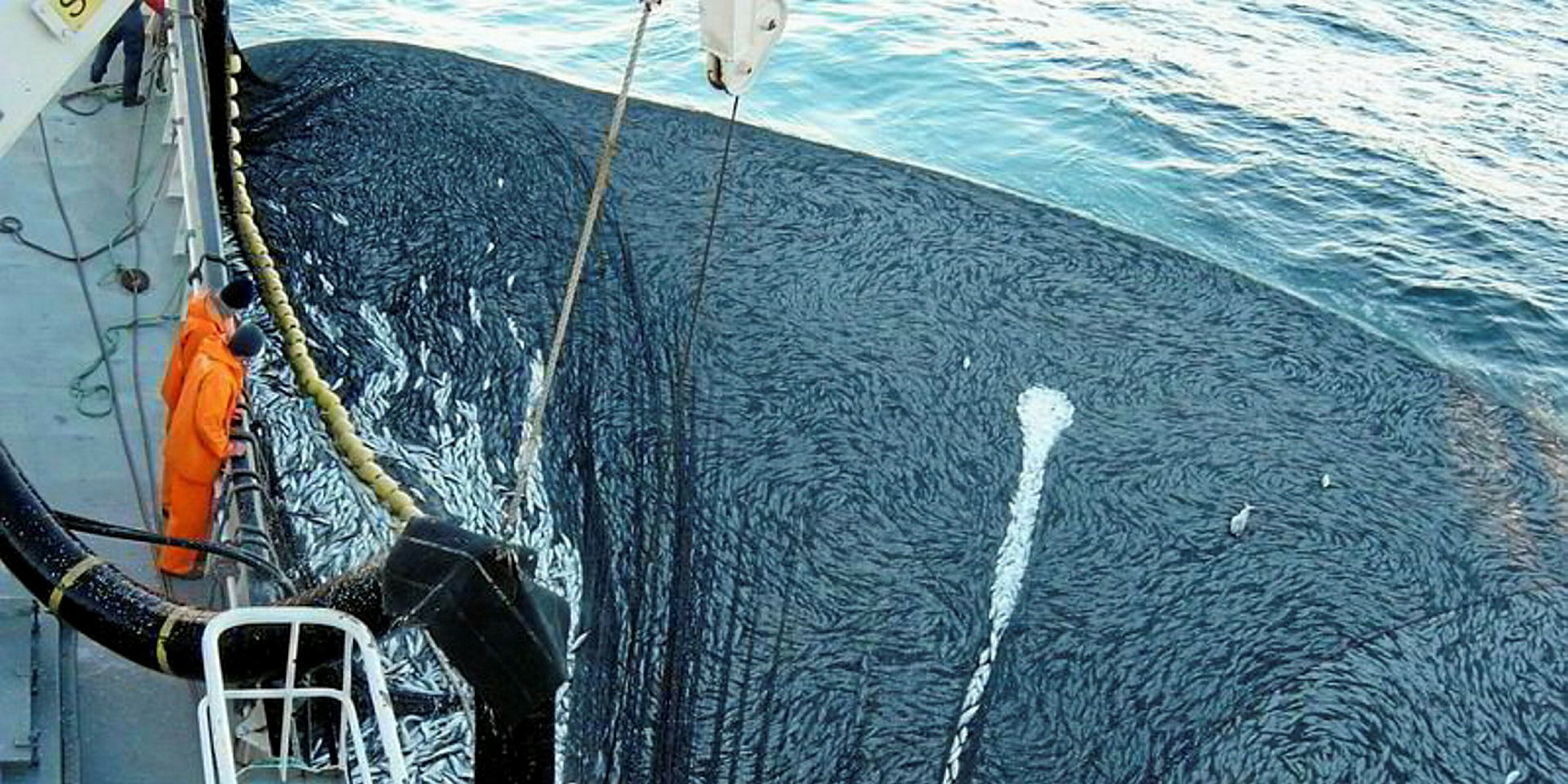 ICES fishing advice dramatically below sustainable levels, says new ...