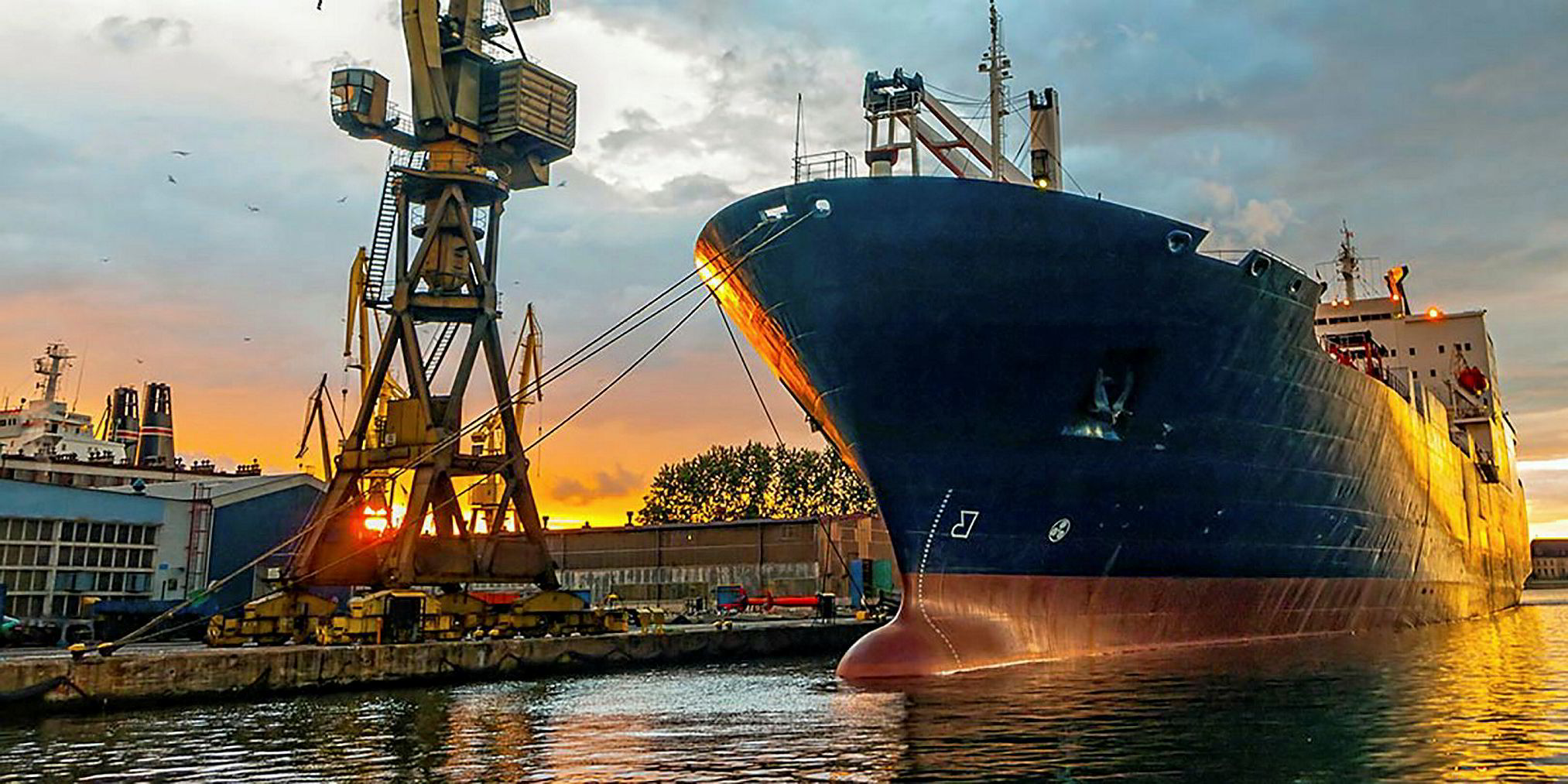 Cargill takes capesize trio on period deals | TradeWinds