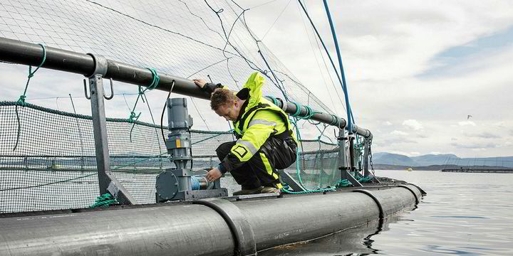 SalMar owner Kverva buys cage manufacturer Aqualine | IntraFish.com