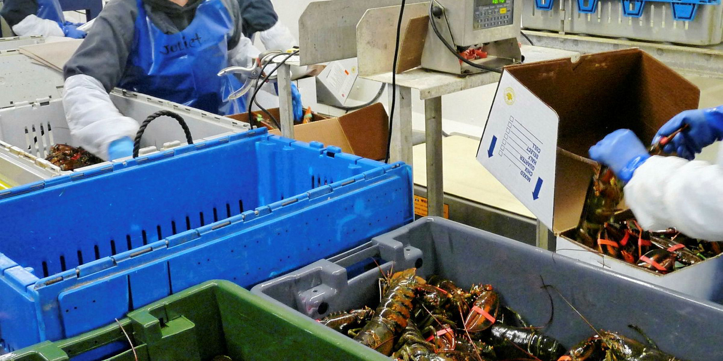 VIDEO: 'Major fire' breaks out at East Coast lobster processing plant ...