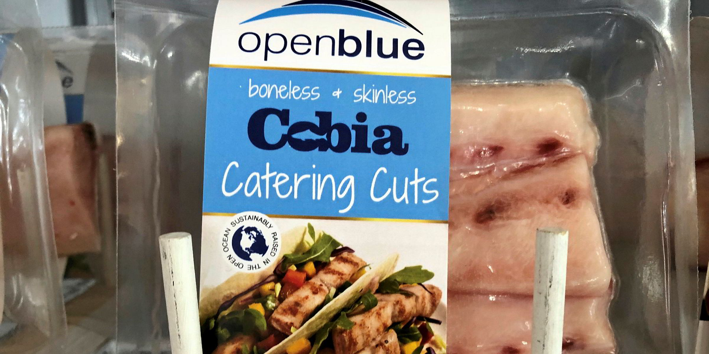 Cobia farmer Open Blue closer to EU retail launch | IntraFish.com