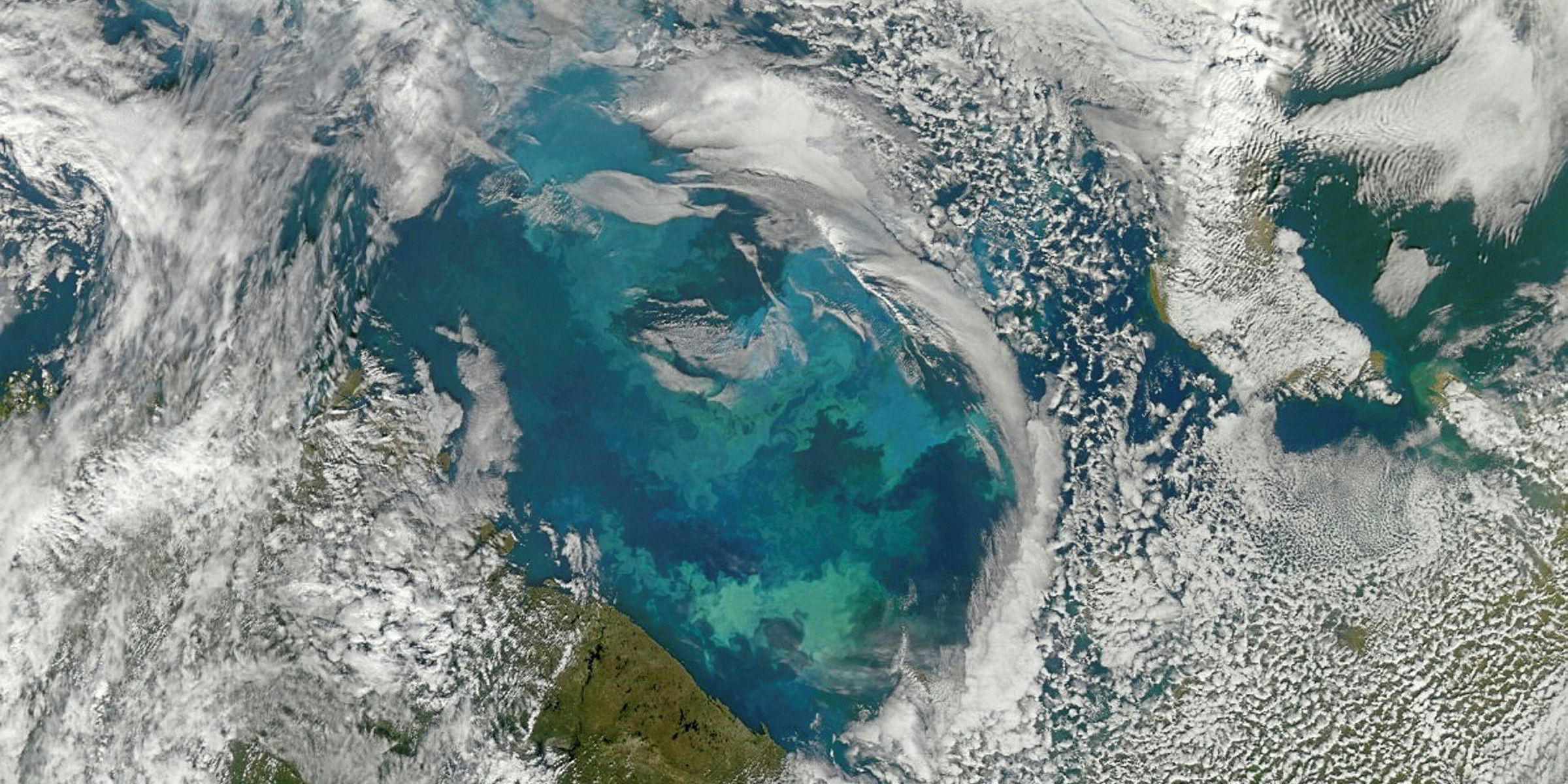 WWF-Russia introduces instruments for mapping ecosystems | IntraFish.com