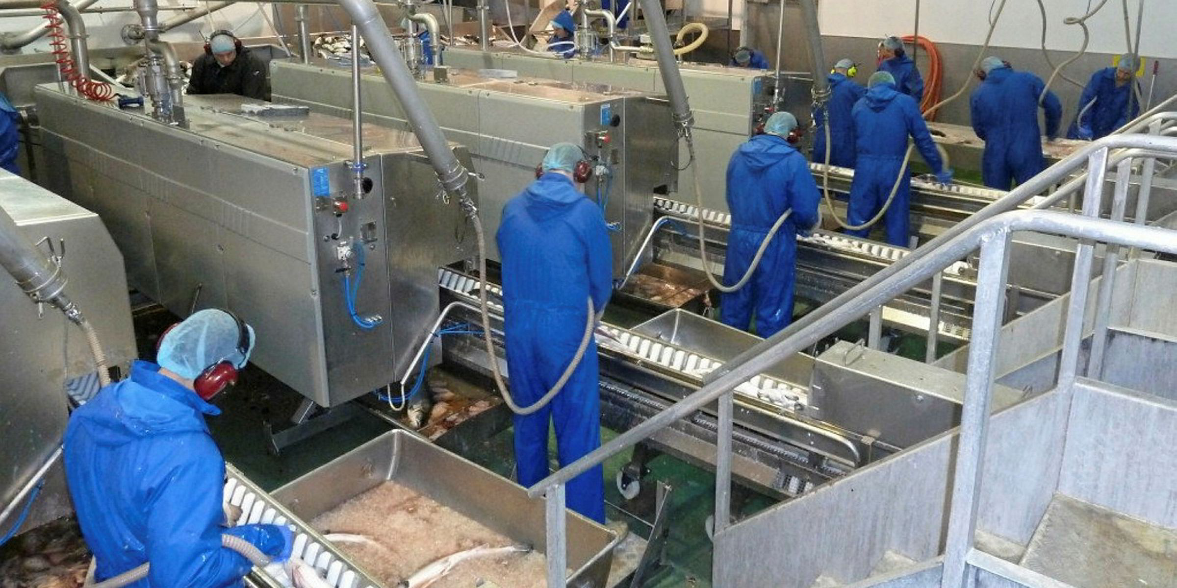 An industry 'on its knees': Scotland's seafood processors to get $12 ...