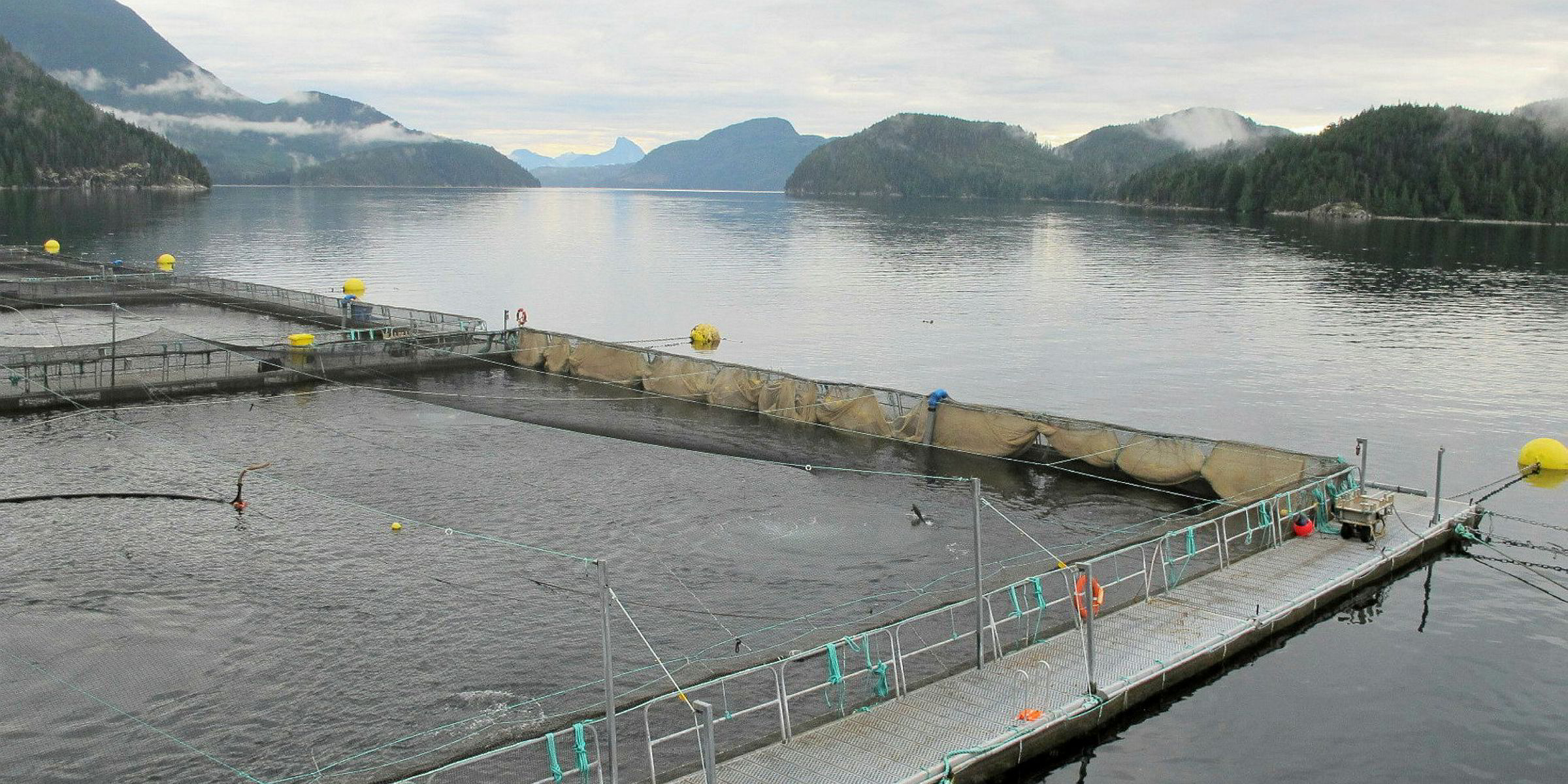 Marine Harvest Canada earns ASC for three more salmon farms | IntraFish.com
