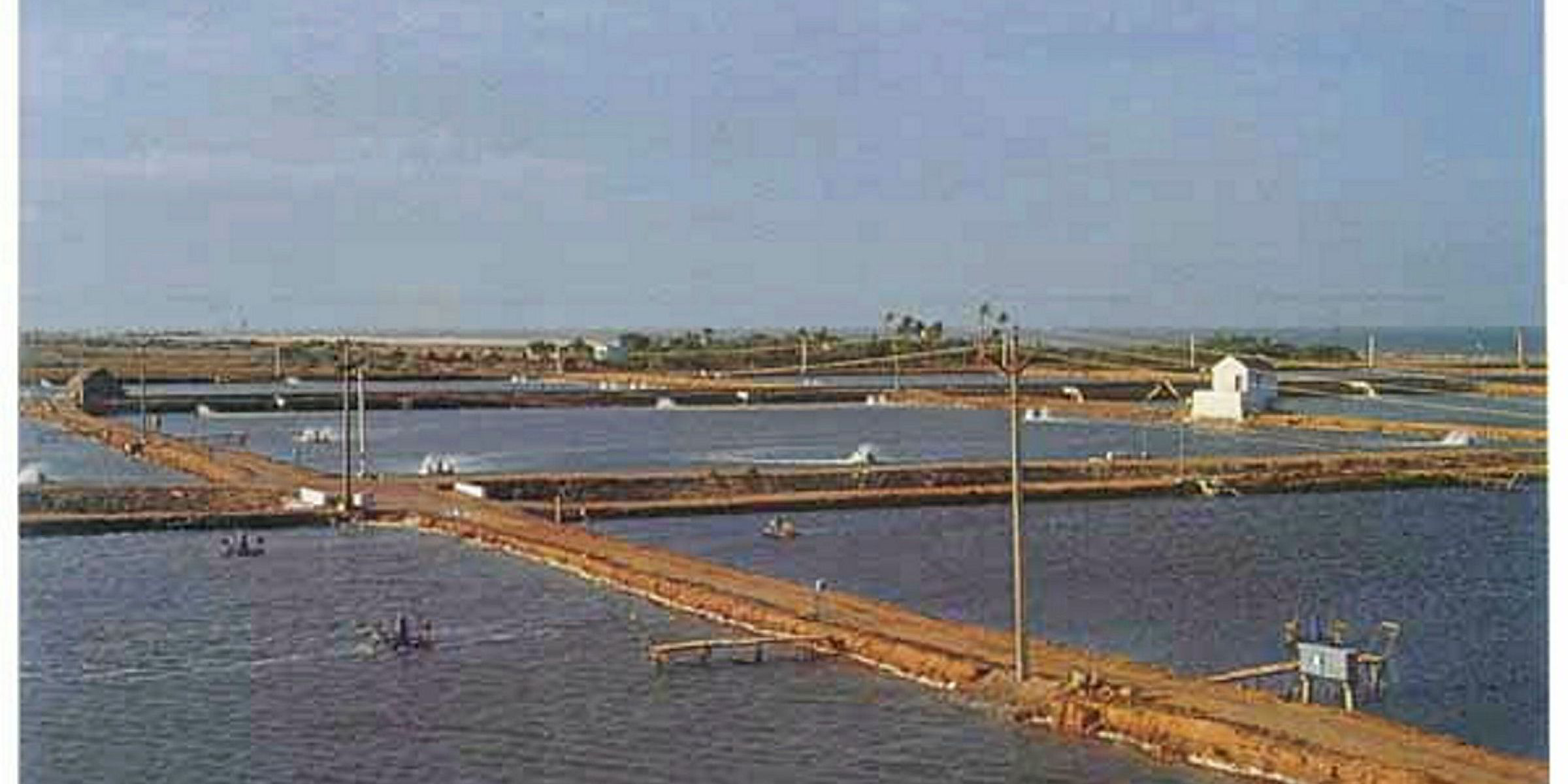 Indian shrimp farmers project $30 million in losses from flooding ...