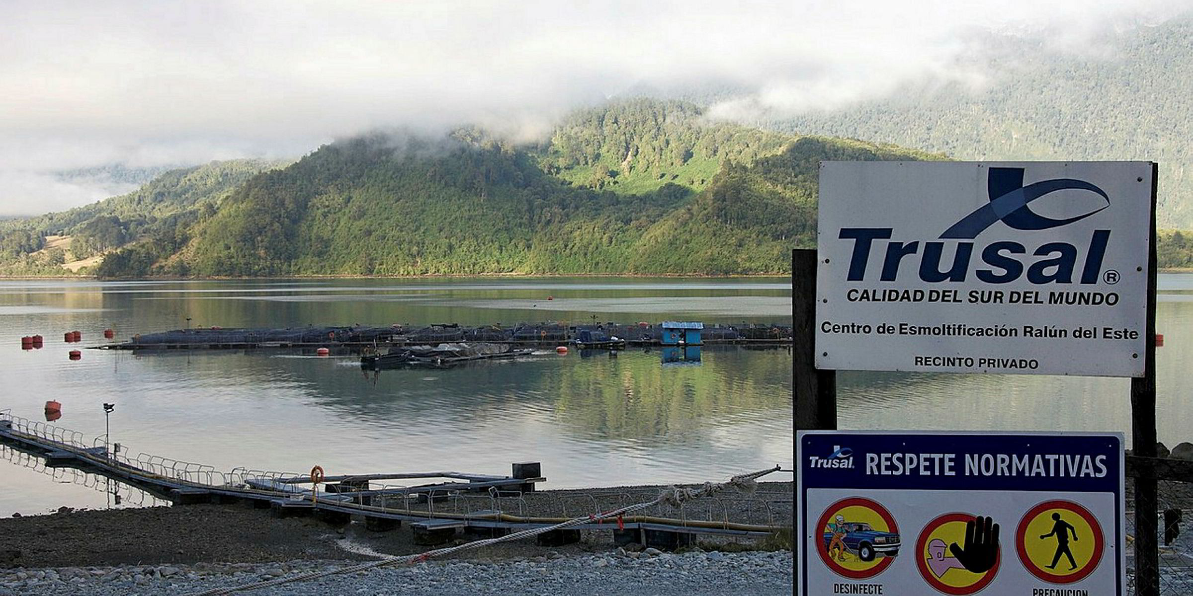 Chile's Trusal applies for new salmon farming site | IntraFish.com