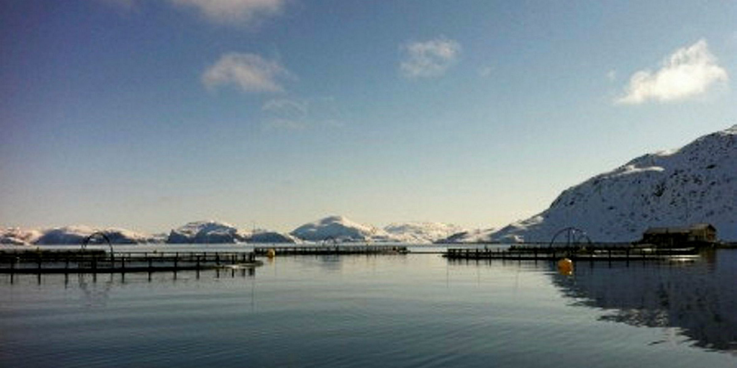 Cermaq trials new technology to turn sludge waste into energy ...