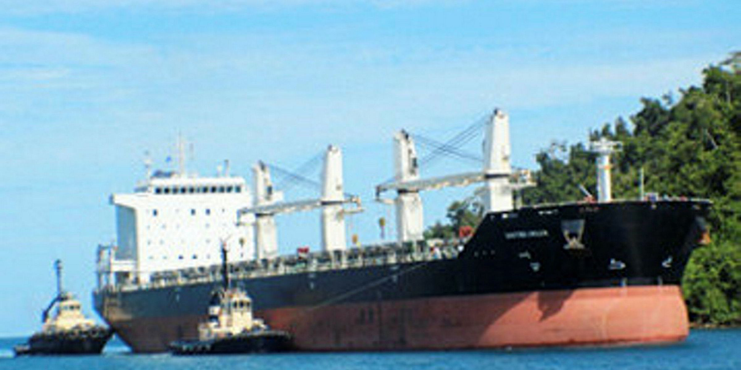 Tomini shows good timing on ship sales | TradeWinds