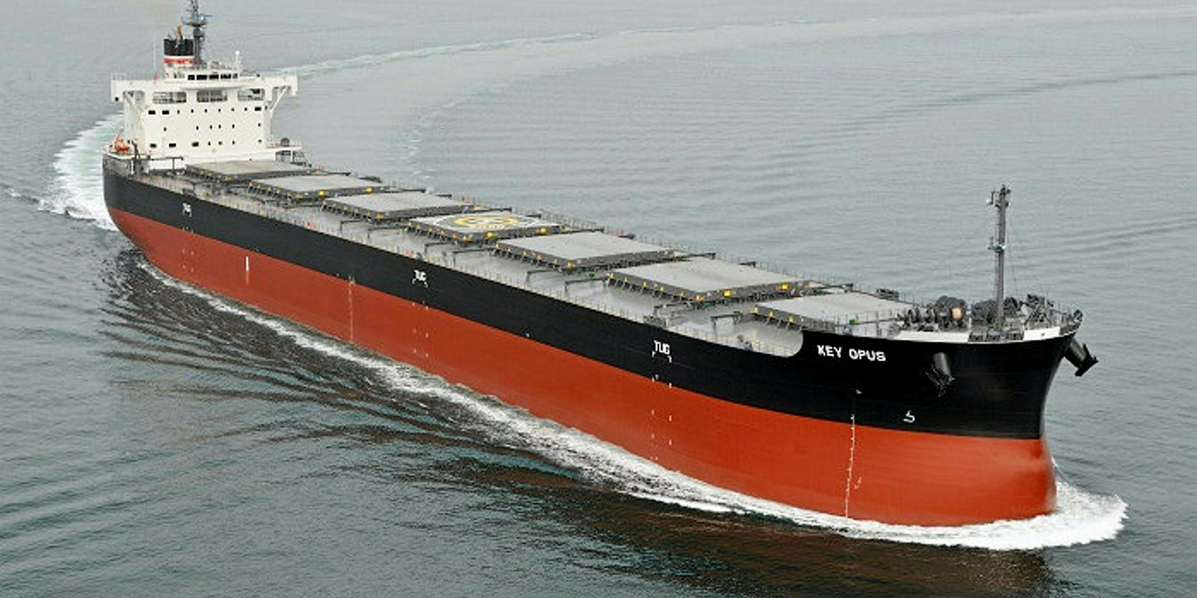 Japanese bulker rescues Polish yachtie | TradeWinds