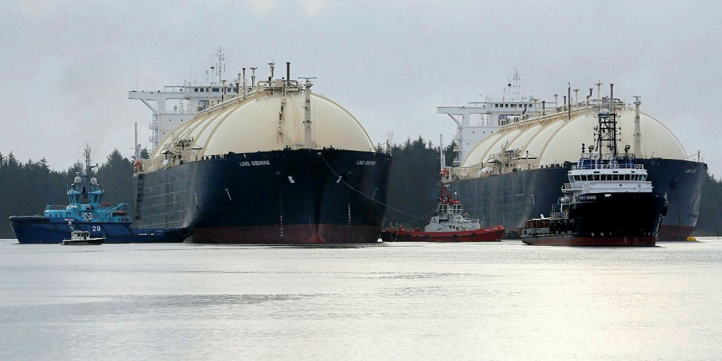 Sinokor bumps up LNG carrier fleet with secondhand trio | TradeWinds