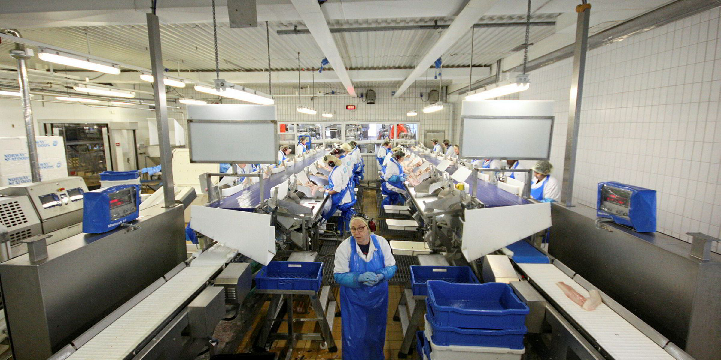 Norwegian seafood producers wrestle with staff quarantines | IntraFish.com