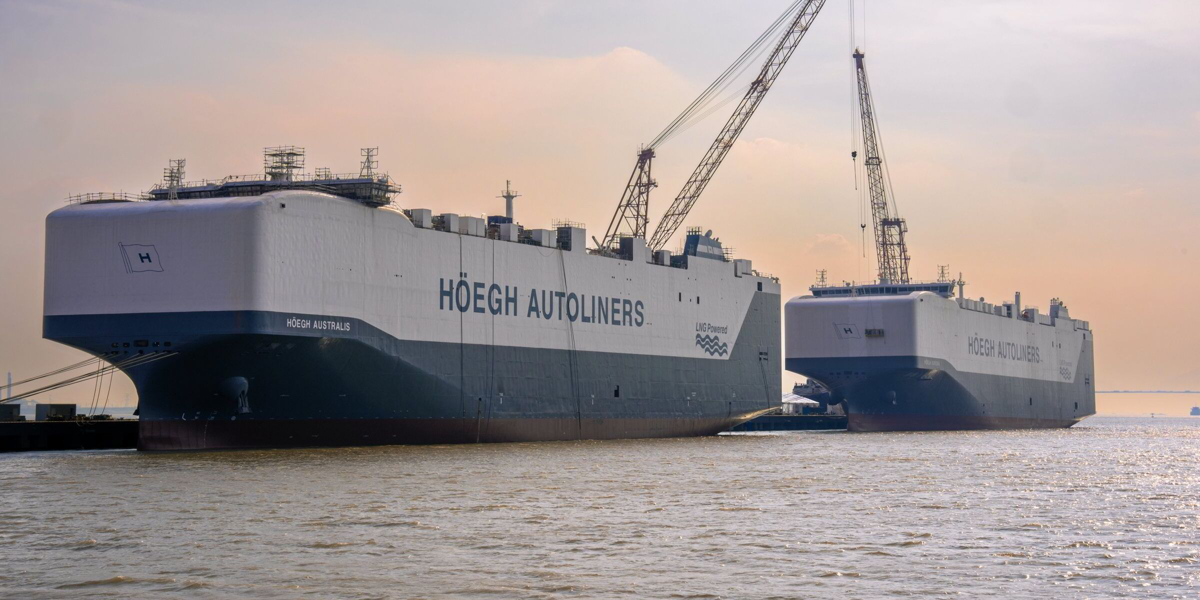 Hoegh Autoliners goes long on cargo and snaps up needed tonnage in charter market | TradeWinds