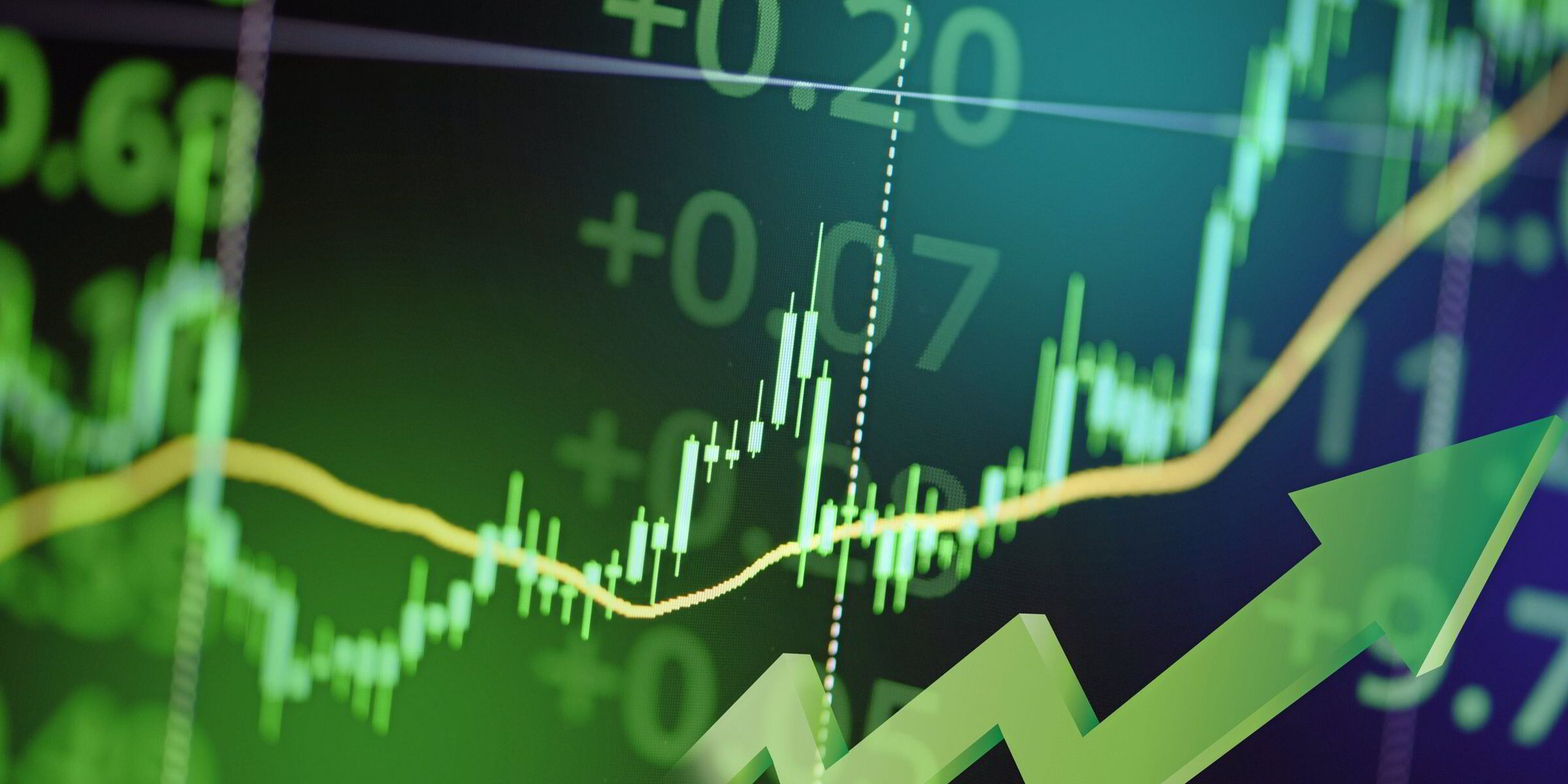BioMar progresses IPO preparations, market outlook brightens ...