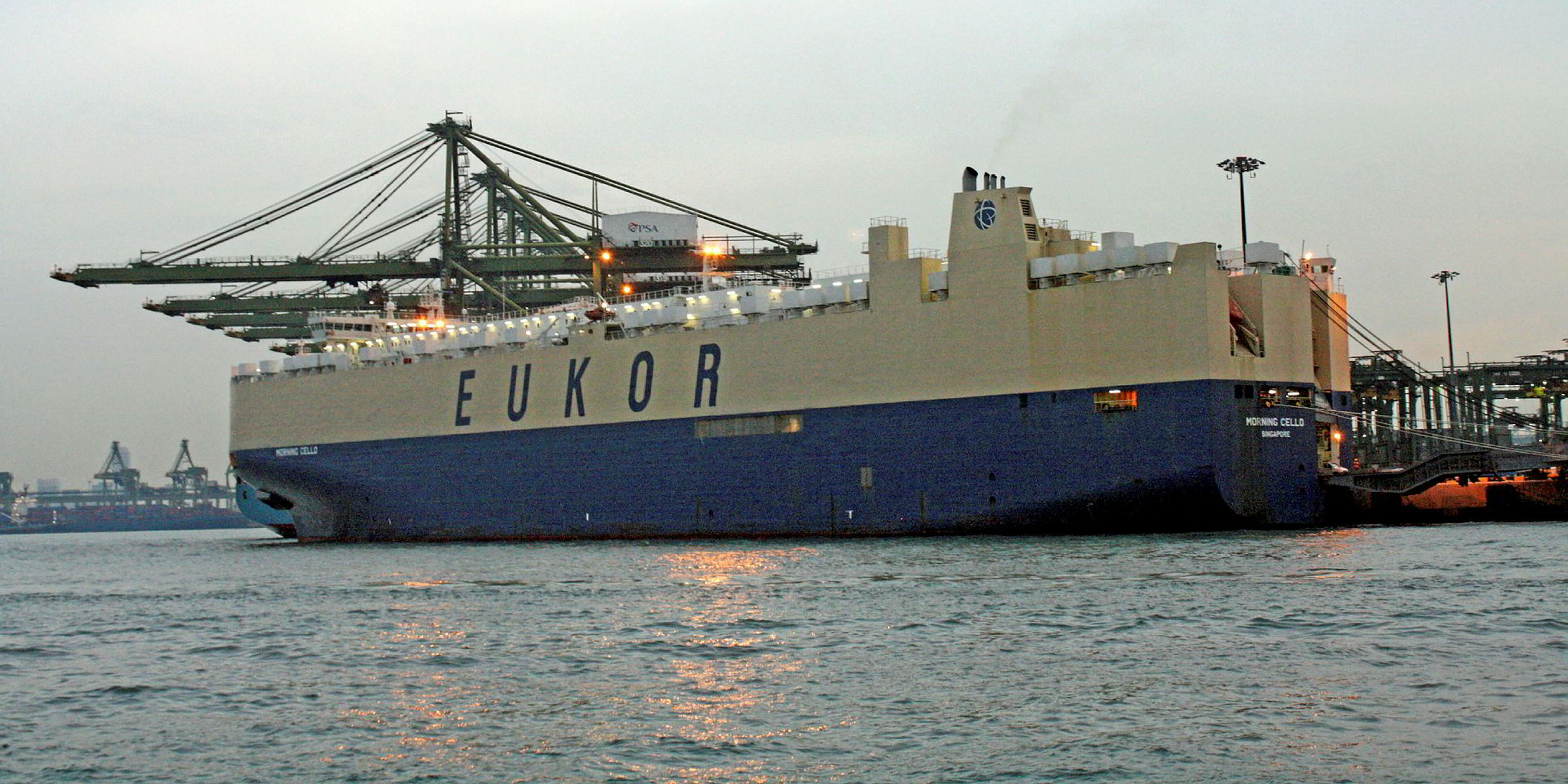 Tailwind sells car carriers as it winds down in shipping | TradeWinds