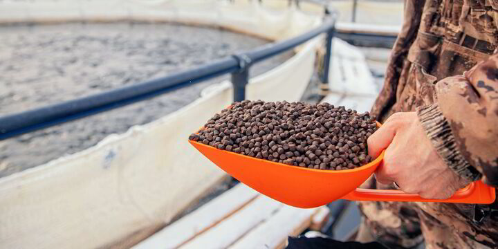 Grain processor builds $124 million aquafeed facility | IntraFish.com