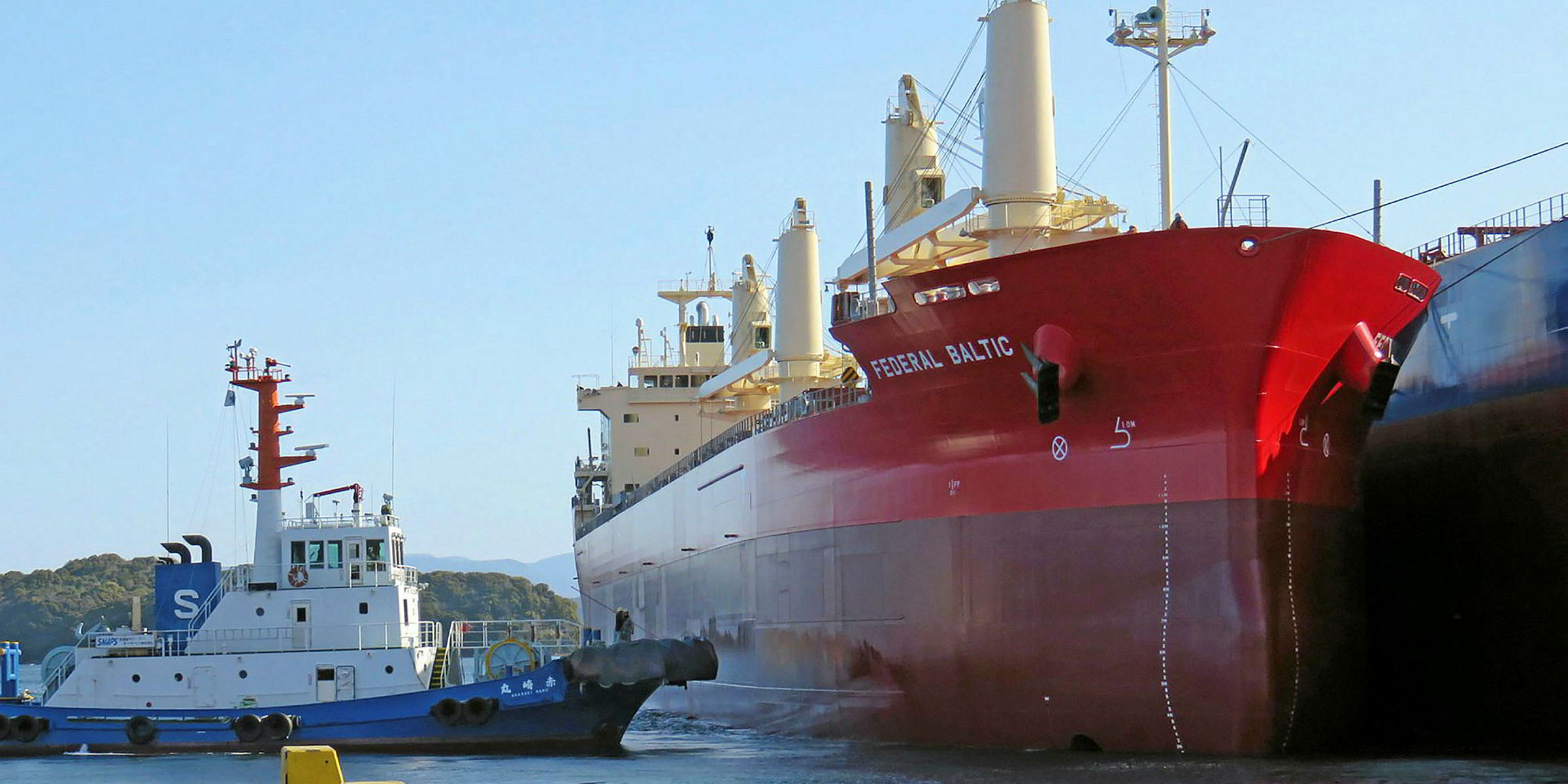 Fednav and Oldendorff tied to Japan newbuilding talks | TradeWinds