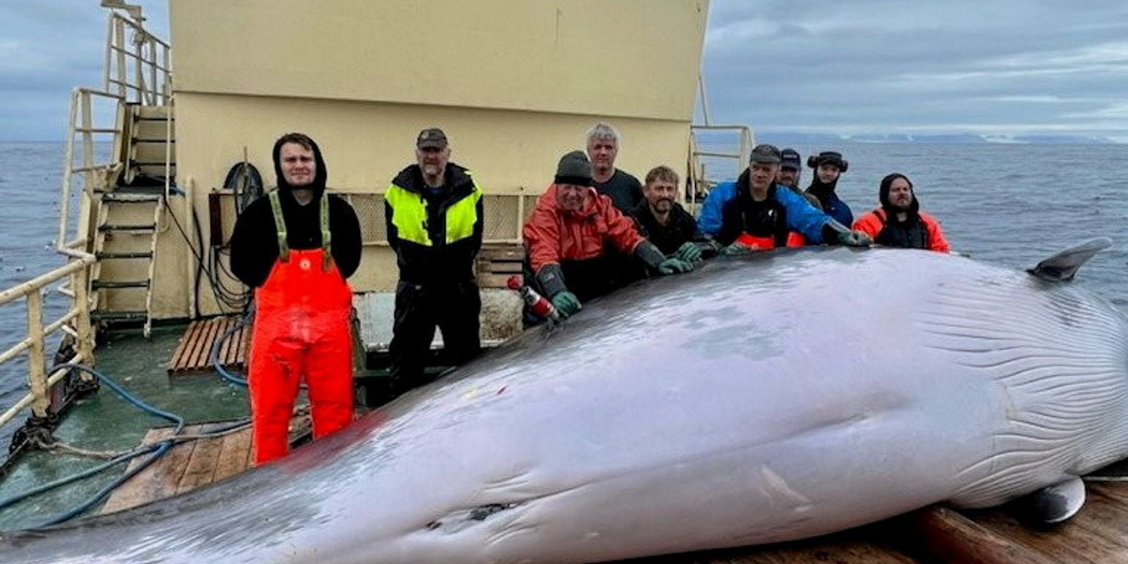 Det er liksom «hysj, hysj» at vi driver med hvalfangst | Fiskeribladet