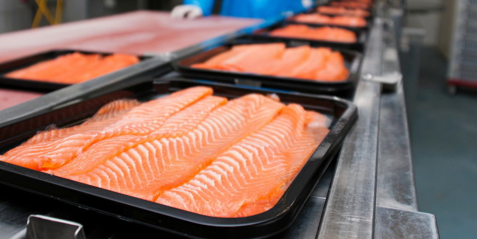 Russian seafood industry scrambles to replace salmon imports ...