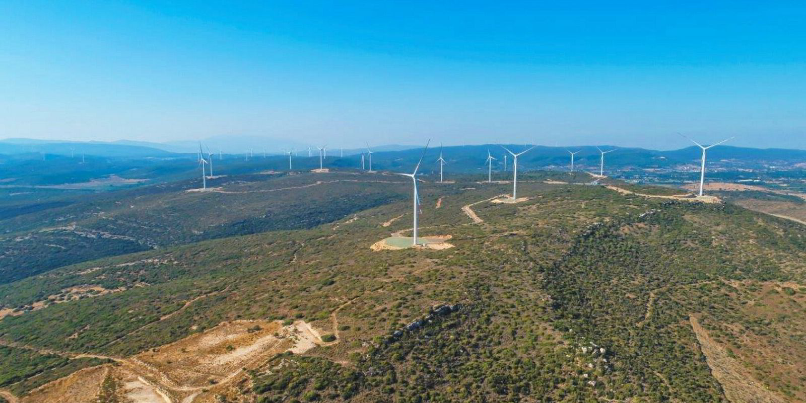 Prices rise at Spanish onshore wind tender amid regulatory uncertainty ...