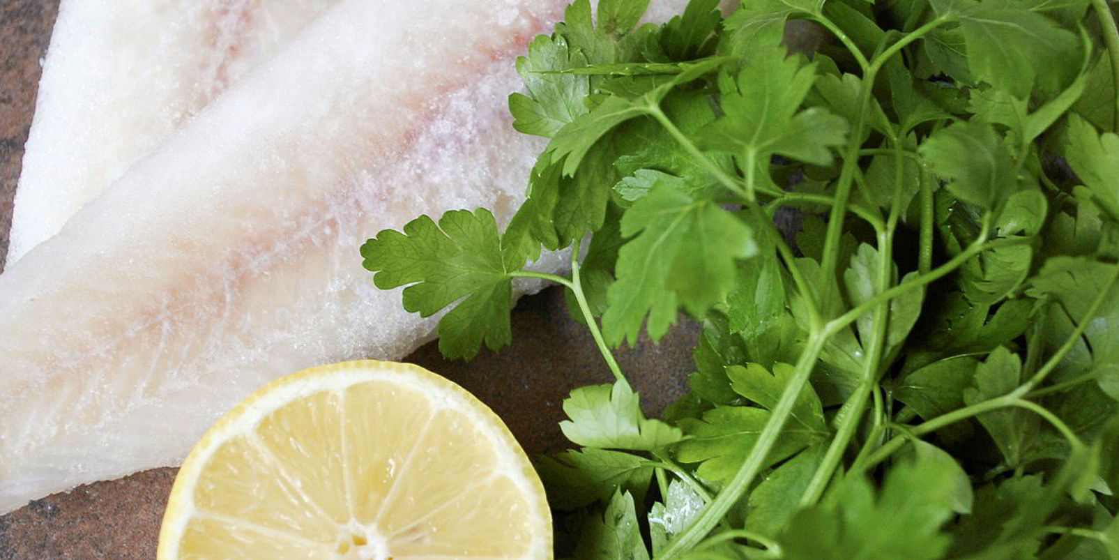 Alaska pollock group to hold first annual meeting | IntraFish.com