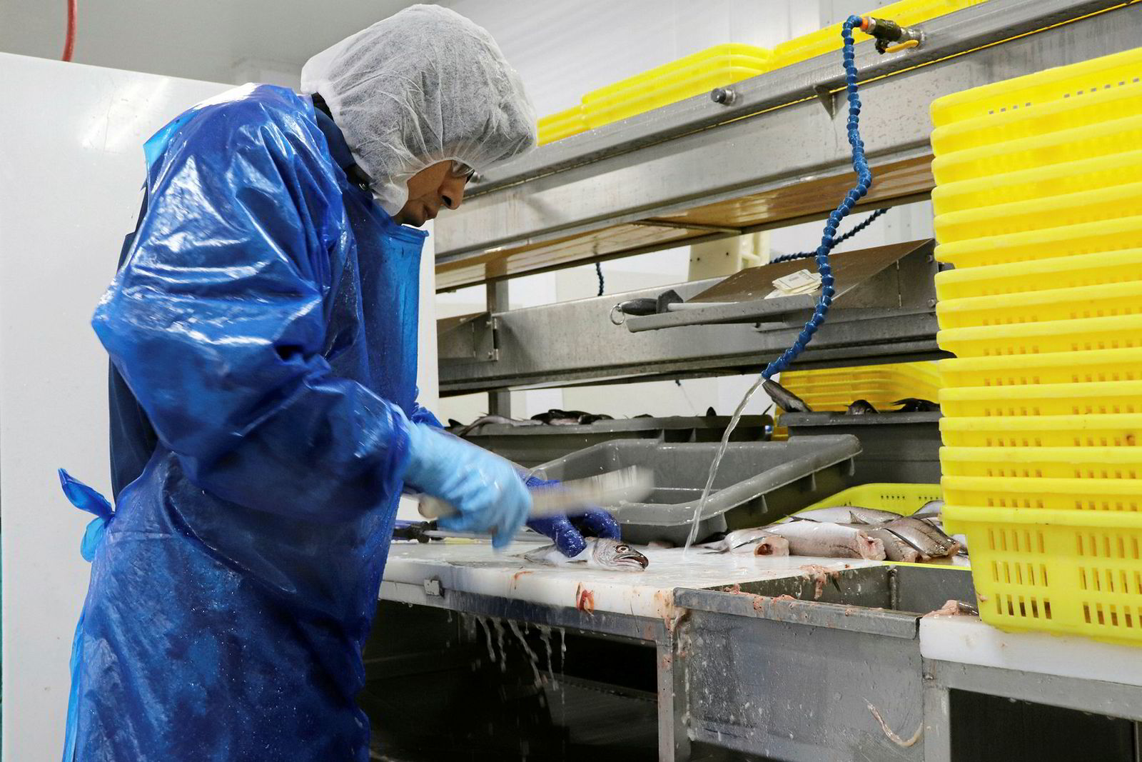 Photo gallery: Take a tour of Pacific Seafood's newest processing ...