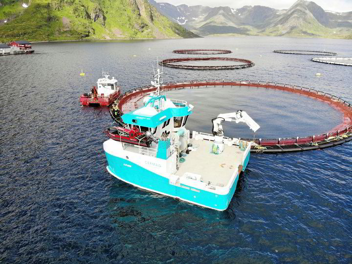 Cermaq achieves some of its 2018 sustainability goals, misses on others ...