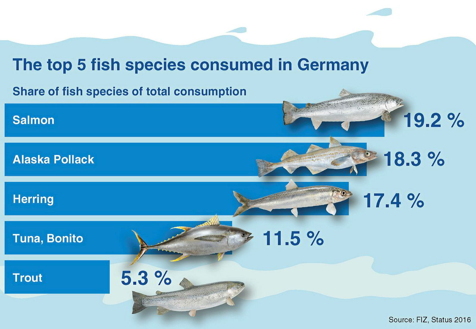 German consumers shrug off volatile pricing; spend 2.4% more on fish ...