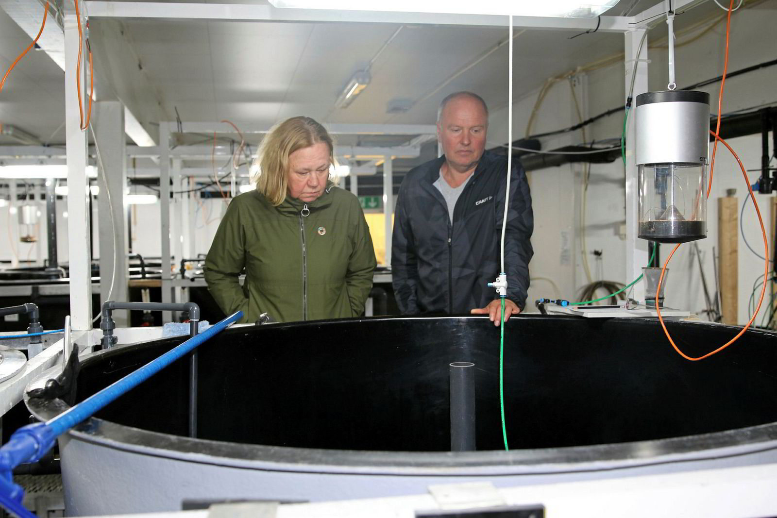 Gjennombrudd for kveiteoppdrett – nå tror næringa at lakseaktørene ...