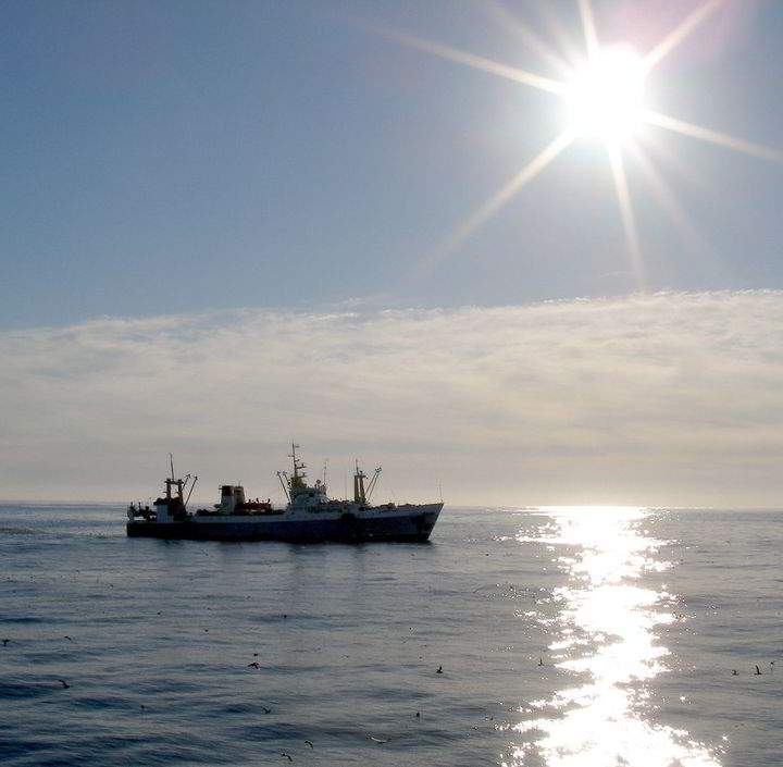 Russia hits back at U.S. MSC pollock concerns | IntraFish.com