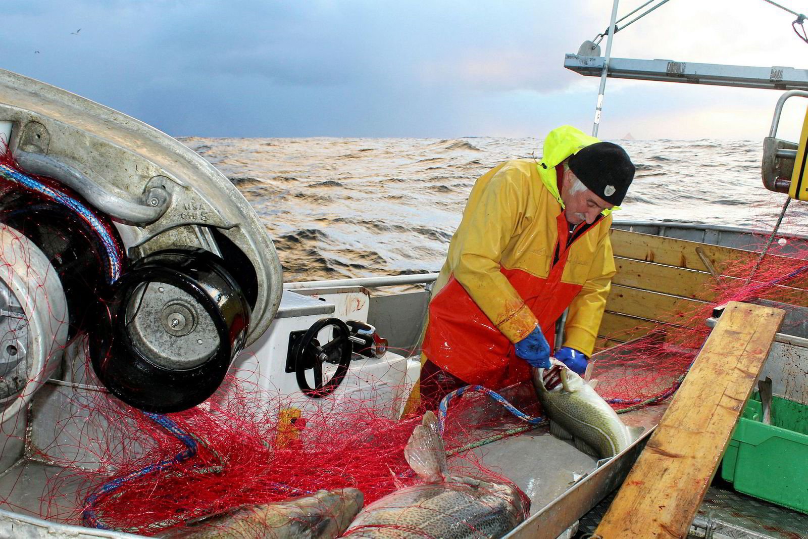 Kurt Harald (73) reiser 700 nautiske mil for å fiske skrei på Røst ...