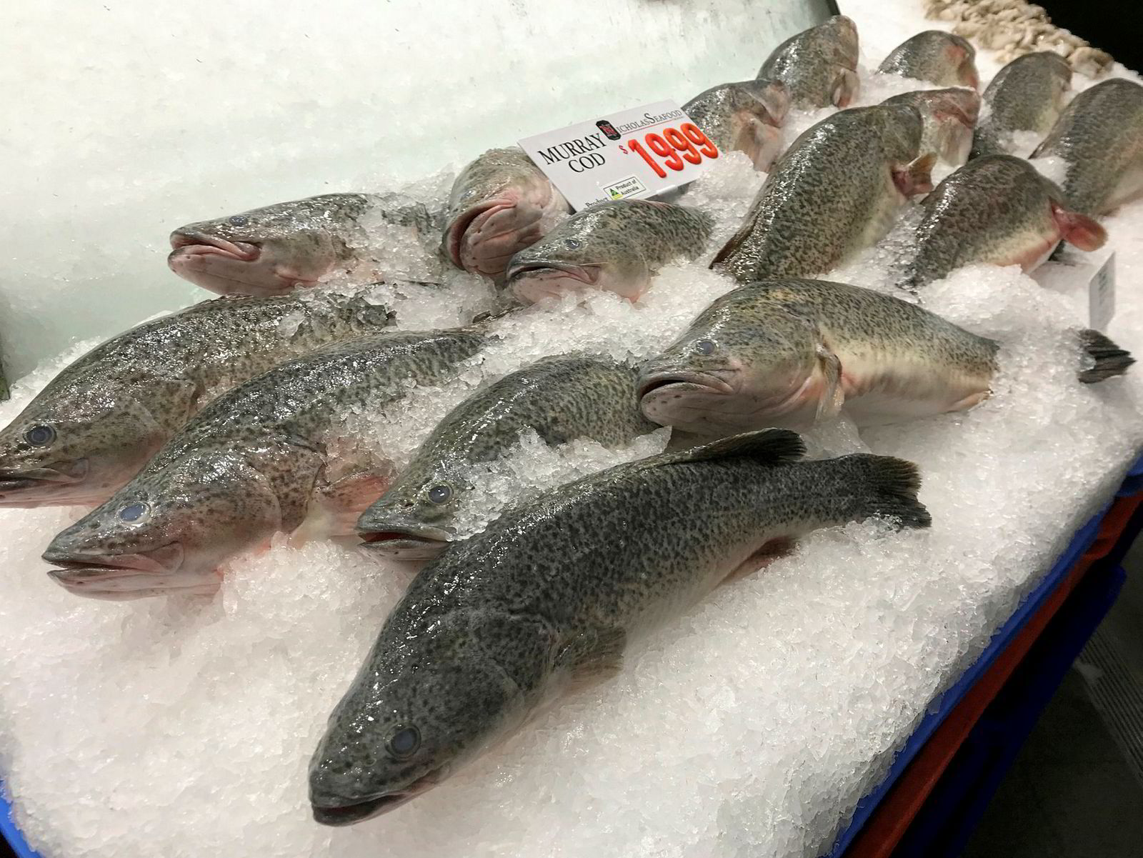 Se bildene fra et av verdens største fiskemarked | Fiskeribladet