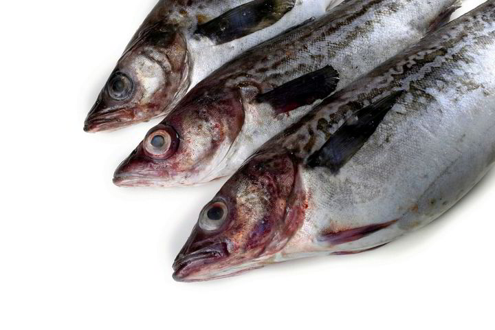 Alaska pollock, cod TACs finalized for 2019 | IntraFish.com