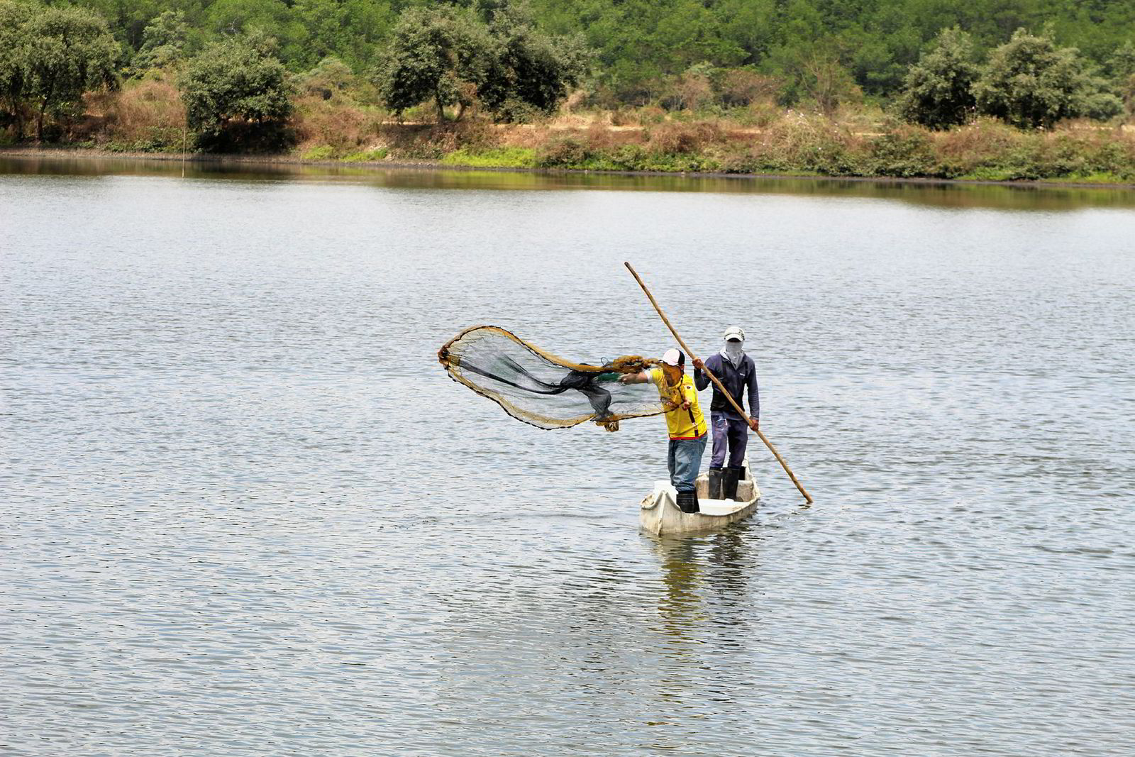 Farm Focus: Meet the world’s first organic shrimp farm | IntraFish.com