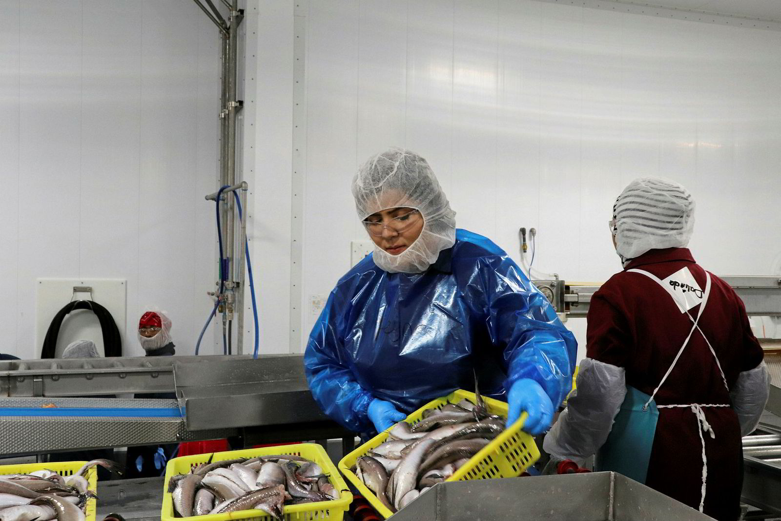 Photo gallery: Take a tour of Pacific Seafood's newest processing ...