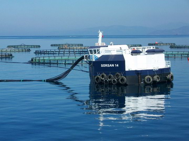 AKVA delivers feed barge to bass, bream farmer | IntraFish.com