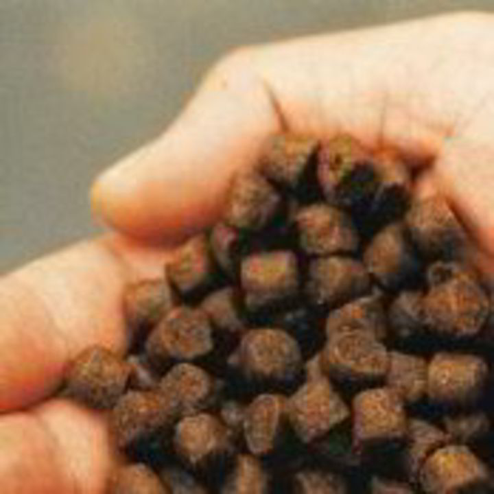 Skretting invests millions in 50% feed production boost | IntraFish.com