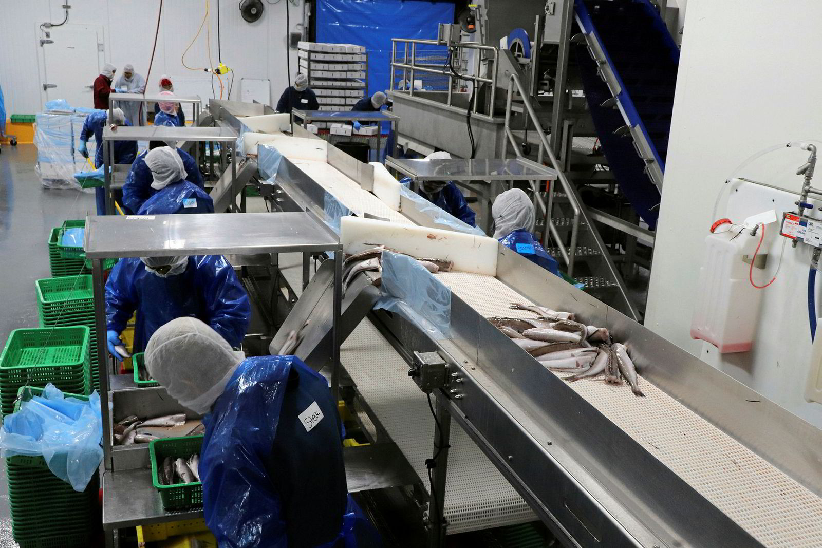 Photo gallery: Take a tour of Pacific Seafood's newest processing ...