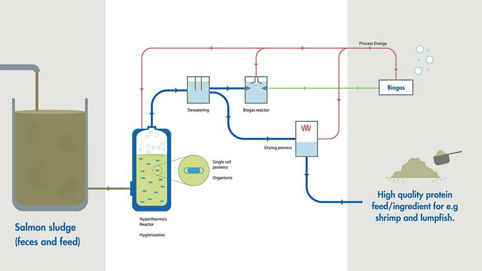 Bruker ett døgn på å gjøre om fiskeslam til proteinpulver og biogass | Fiskeribladet