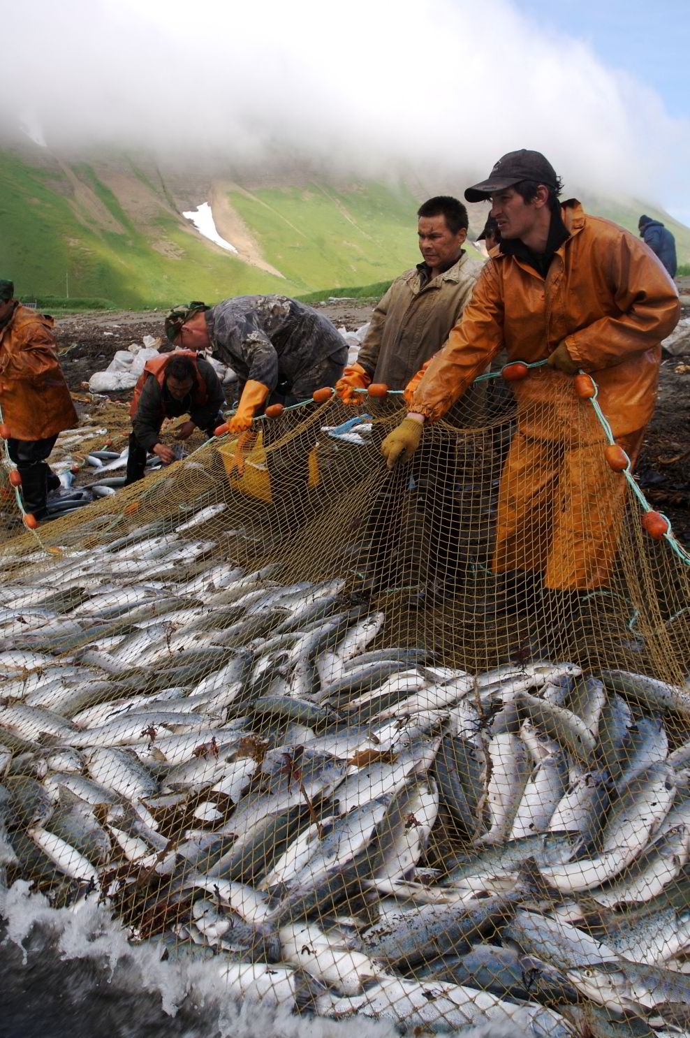 Photo gallery: Buyers eye Russian salmon | IntraFish.com