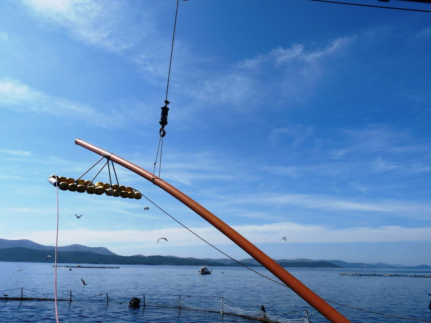 Photo gallery: Croatia bluefin tuna farm | IntraFish.com