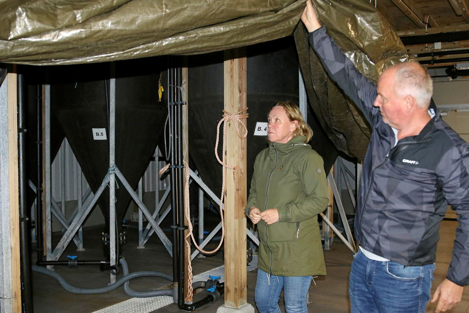 Kveiteoppdrett blir mer interessant for lakseaktører | IntraFish.no